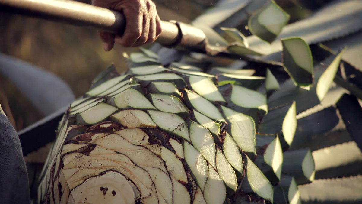 Urban Bar Luxury Glassware and Barware - Urban Bar UK